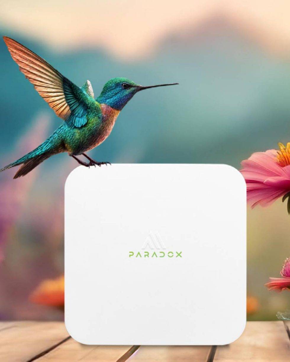 Paradox M25 Security Video and Access Control | Rapid Alarms
